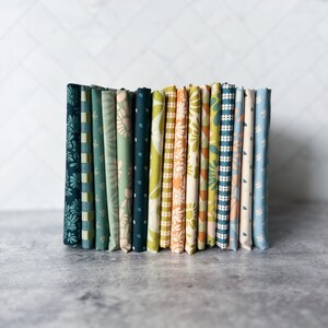 Evolve Collection by Suzy Quilts Full Collection 16 Prints Art Gallery Fabrics Fat Quarter ...