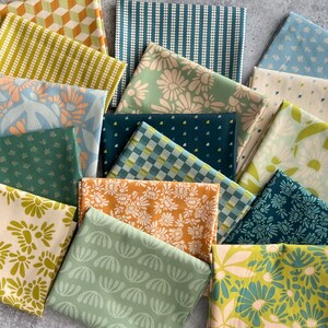 Evolve Collection by Suzy Quilts Full Collection 16 Prints Art Gallery Fabrics Fat Quarter ...