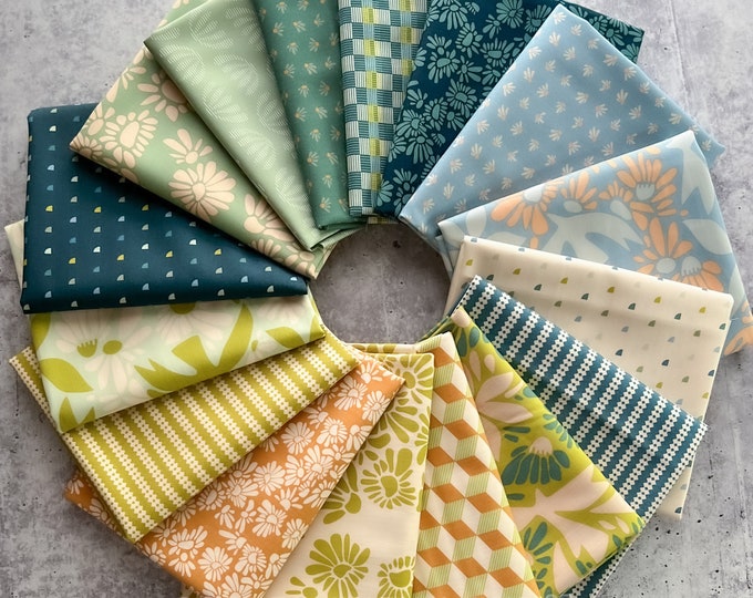 Evolve Collection by Suzy Quilts | Full Collection 16 Prints | Art Gallery Fabrics | Fat Quarter ...