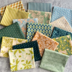 Evolve Collection by Suzy Quilts Full Collection 16 Prints Art Gallery Fabrics Fat Quarter ...
