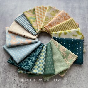 Evolve Collection by Suzy Quilts Full Collection 16 Prints Art Gallery Fabrics Fat Quarter ...