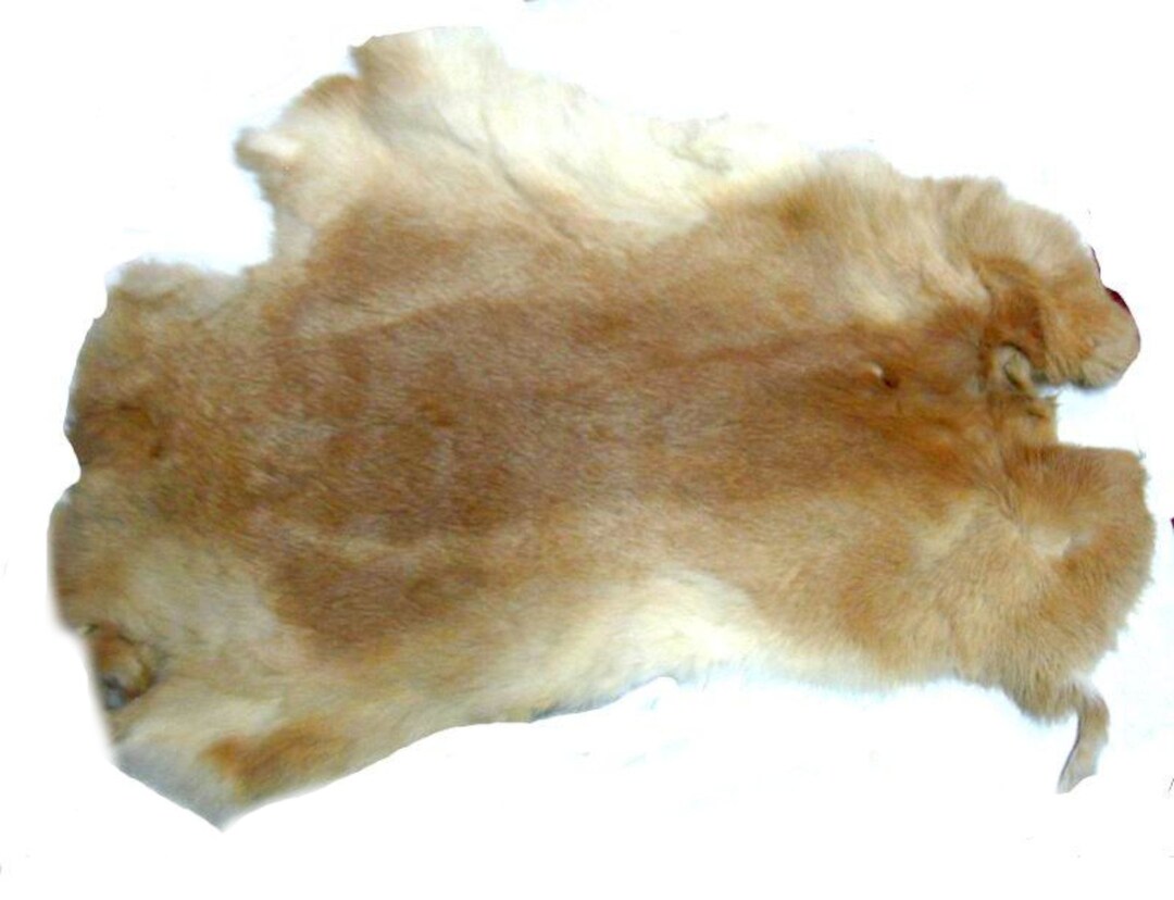 Rabbit Pelt Skin Natural Rex Thick and Soft Tanned Taxidermy Brown Tan ...