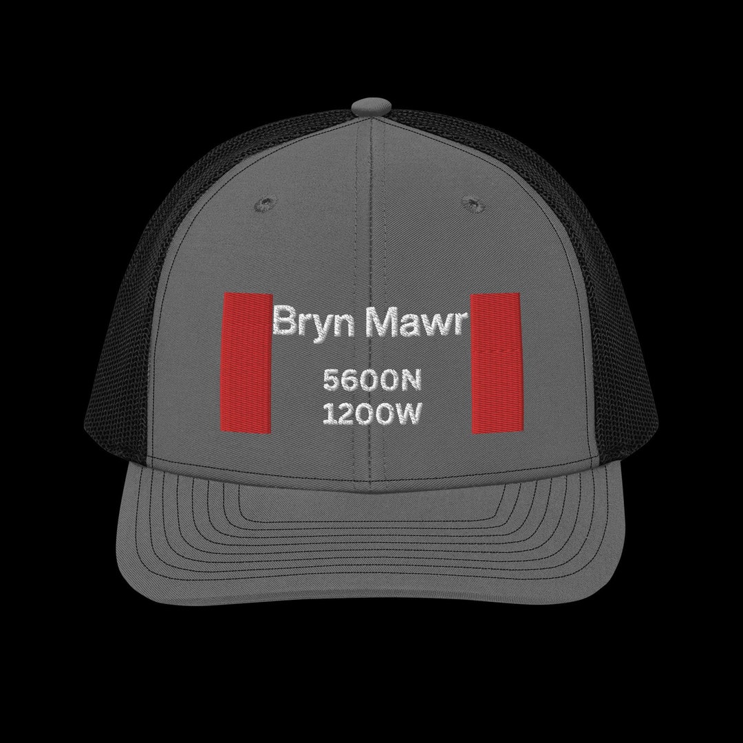 Chicago Transit Authority CTA Red Line L EL Bryn Mawr Stop Edgewater ...