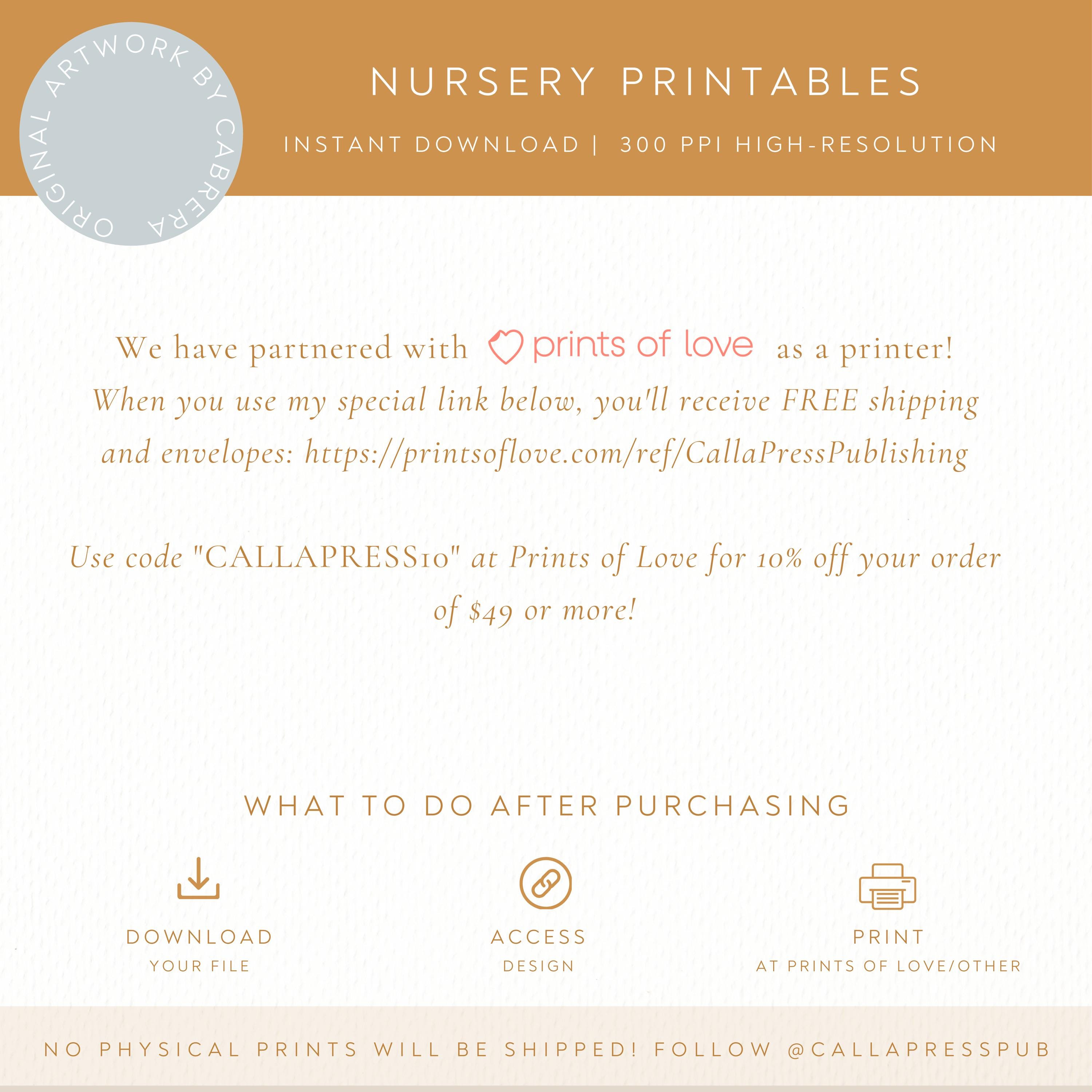 Shapes Educational Poster in Neutral Rainbow, 11x14in., Shapes ...