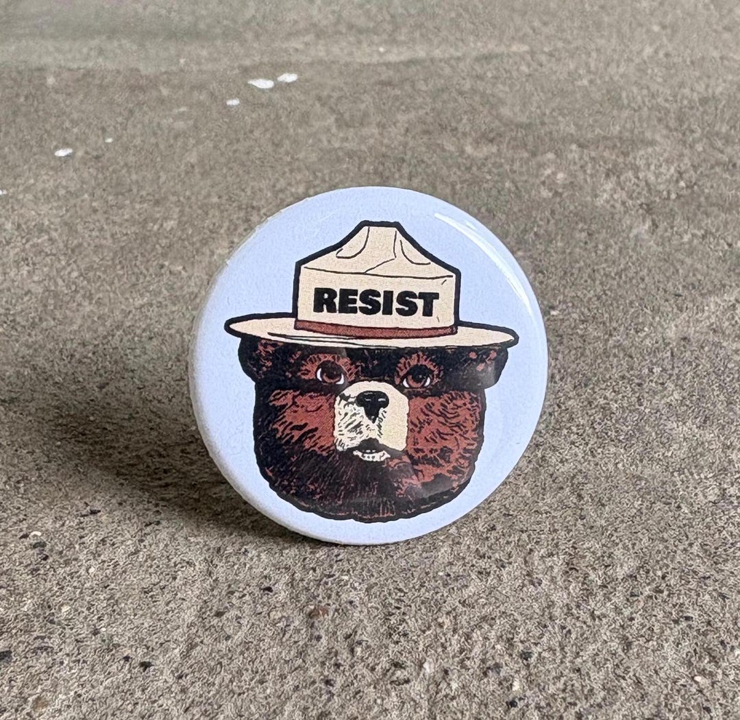 Resist Bear - 1.25" Button - Antifa - Multiple Colors - Etsy