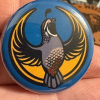 Desert Quail Enamel Pin - Etsy