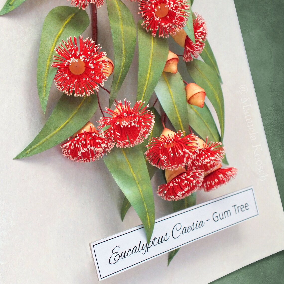 Eucalyptus Gum Tree Wall Art - Red Flowering Gumtree Branch Artwork ...