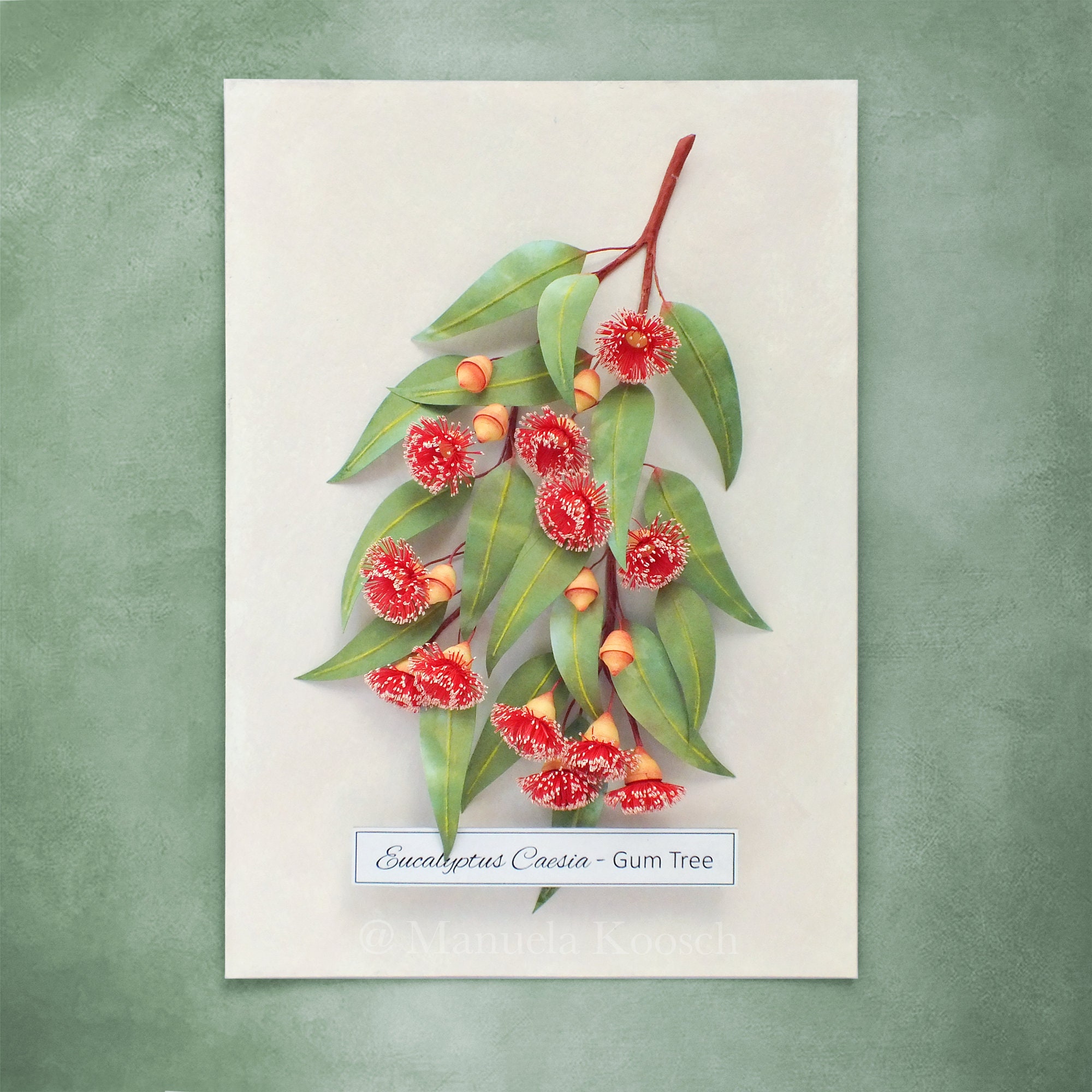 Eucalyptus Gum Tree Wall Art - Red Flowering Gumtree Branch Artwork ...