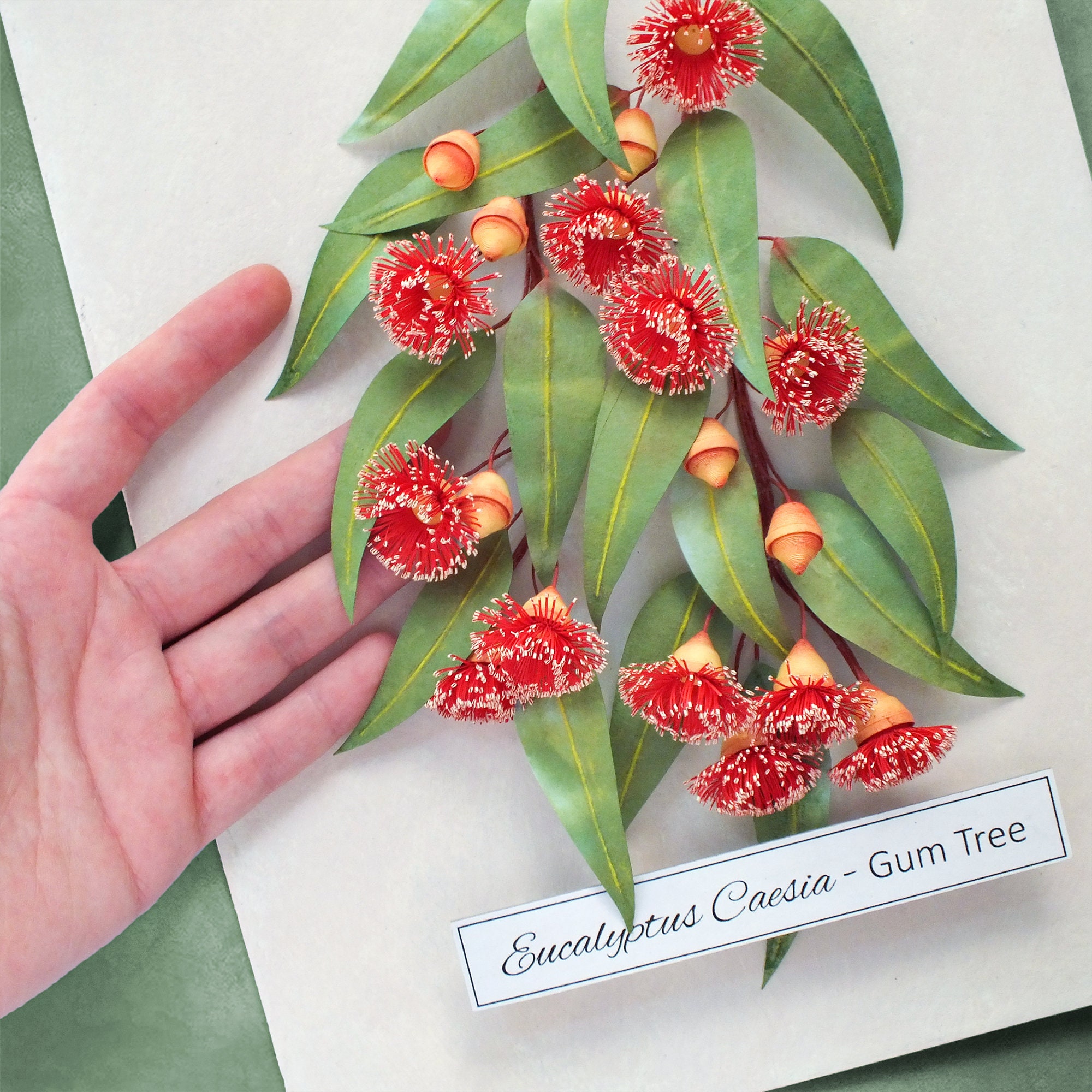 Eucalyptus Gum Tree Wall Art - Red Flowering Gumtree Branch Artwork ...