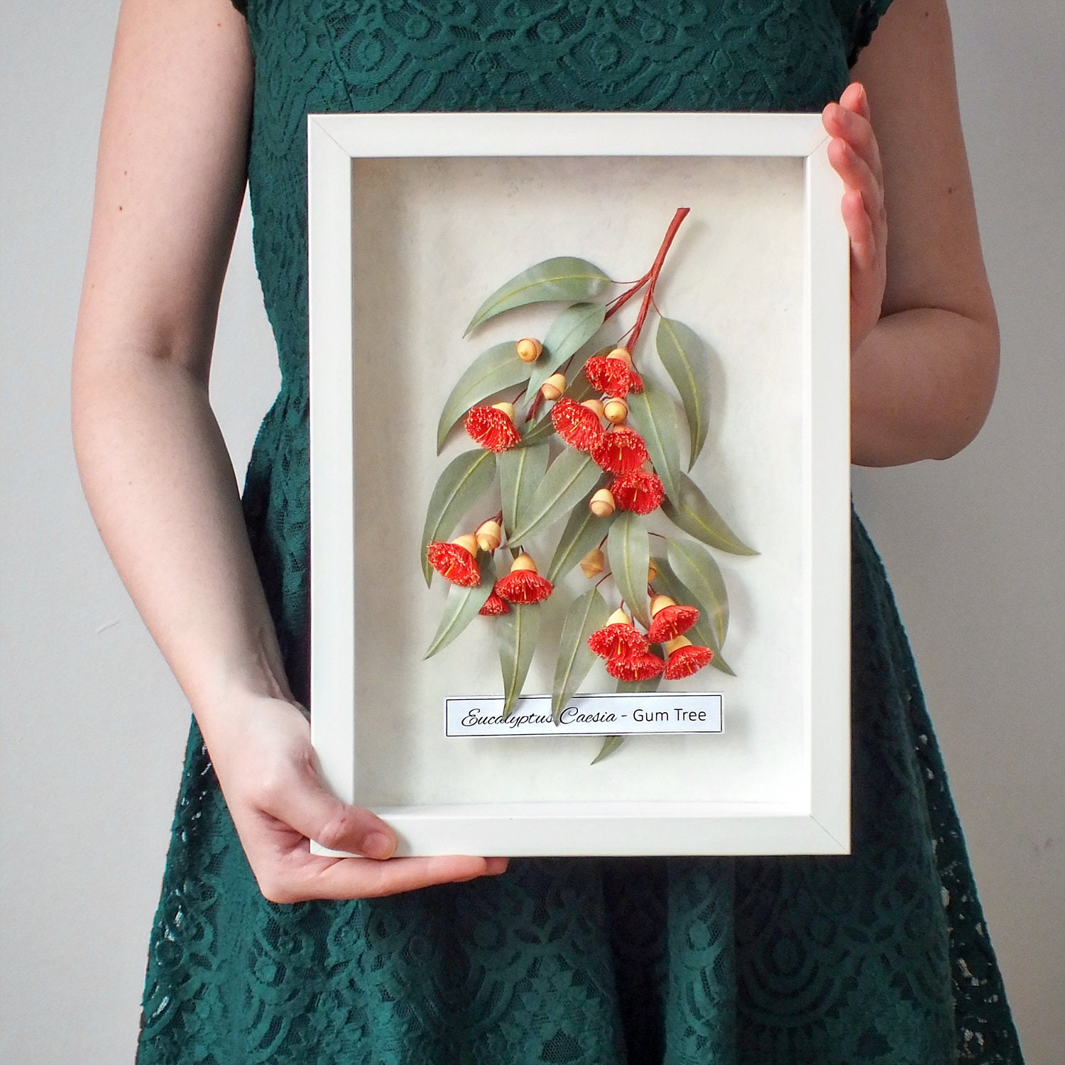 Eucalyptus Gum Tree Wall Art - Red Flowering Gumtree Branch Artwork ...