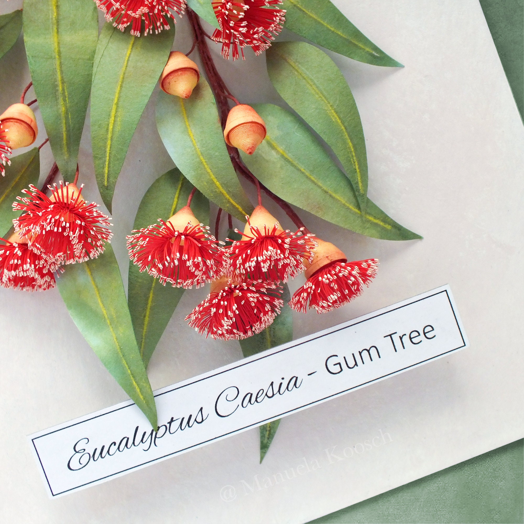 Eucalyptus Gum Tree Wall Art - Red Flowering Gumtree Branch Artwork ...