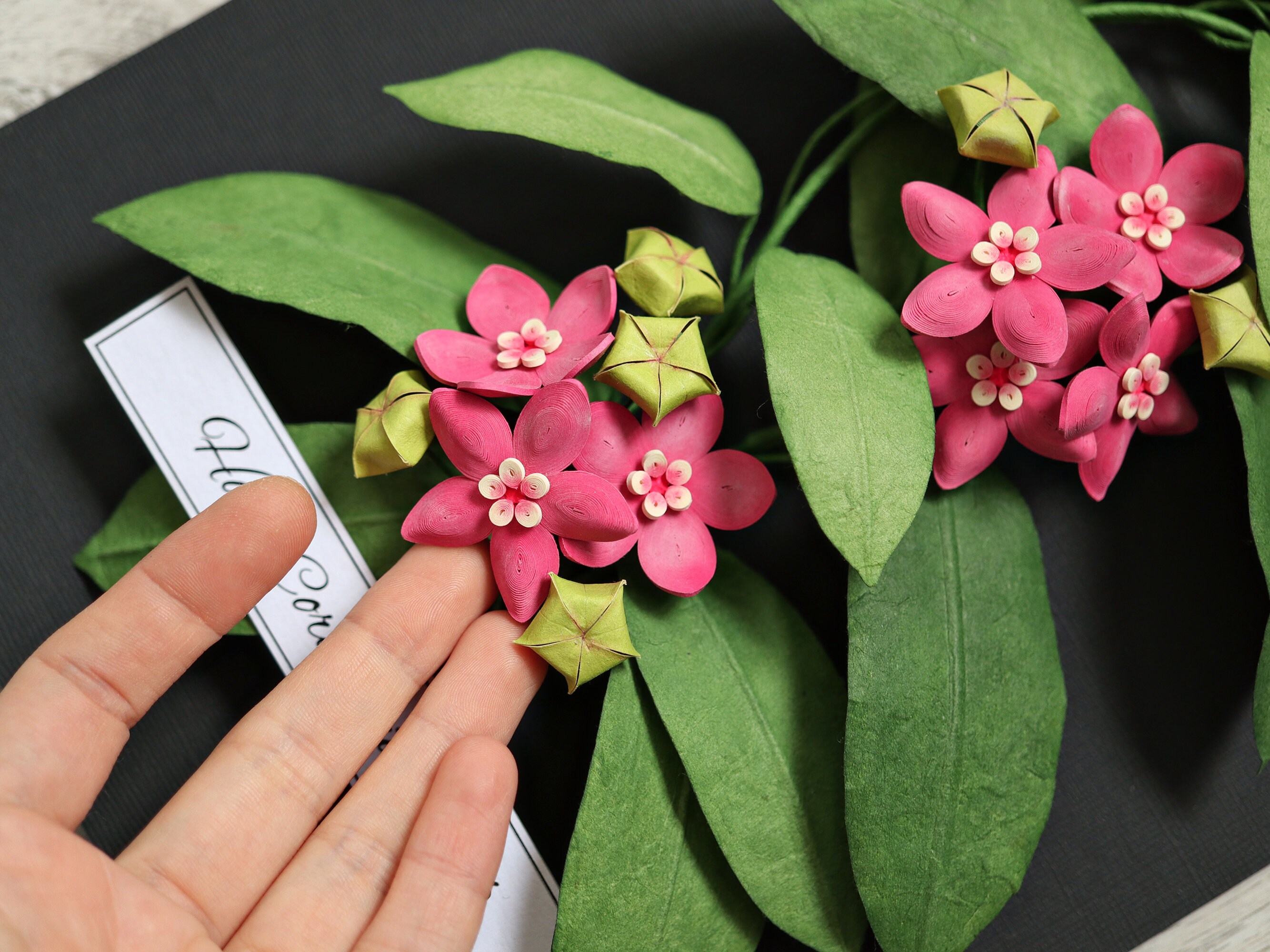 Pink Hoya Wall Art Tropical Flowers Decor 3D Paper Art Florals on Black ...