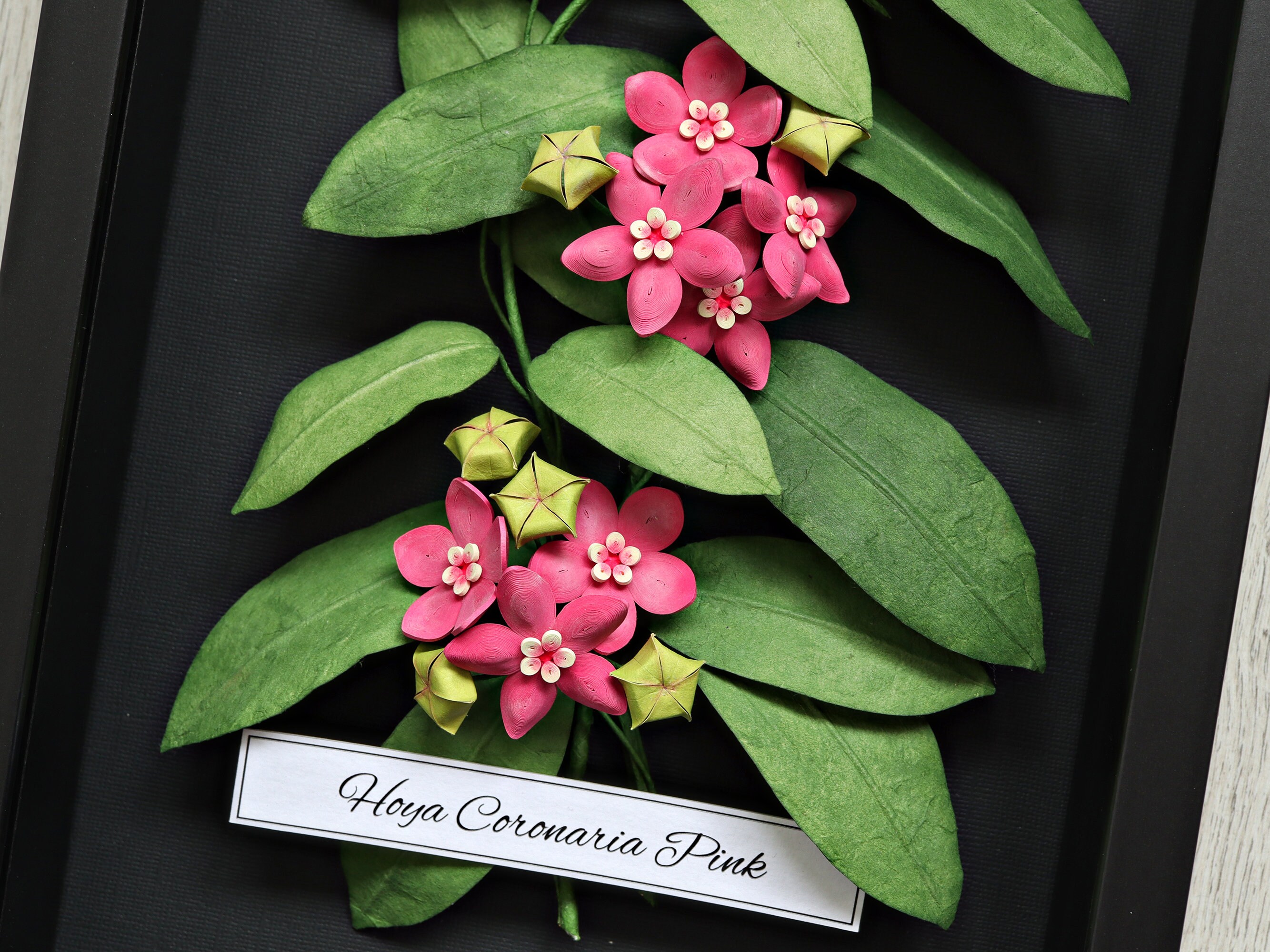 Pink Hoya Wall Art Tropical Flowers Decor 3D Paper Art Florals on Black ...