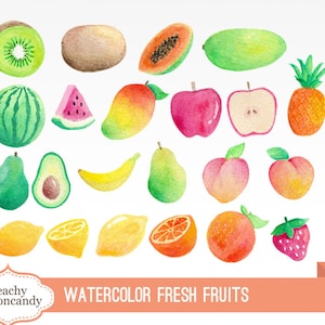 Watercolor Fruits Clipart: Fresh Fruit Illustrations (digital Download ...