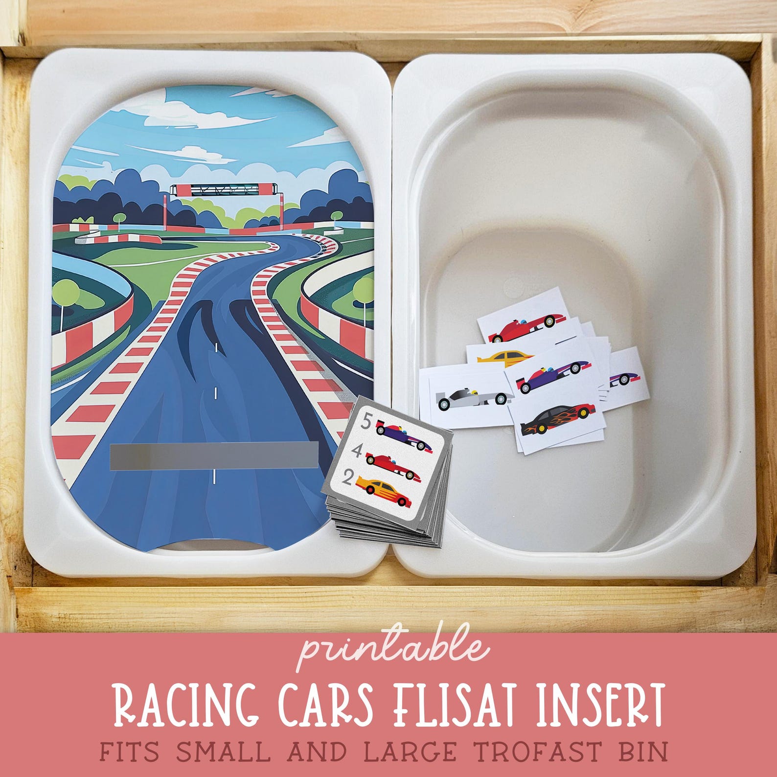 Printable Racing Cars Flisat Insert – Sorting and Counting Activity ...