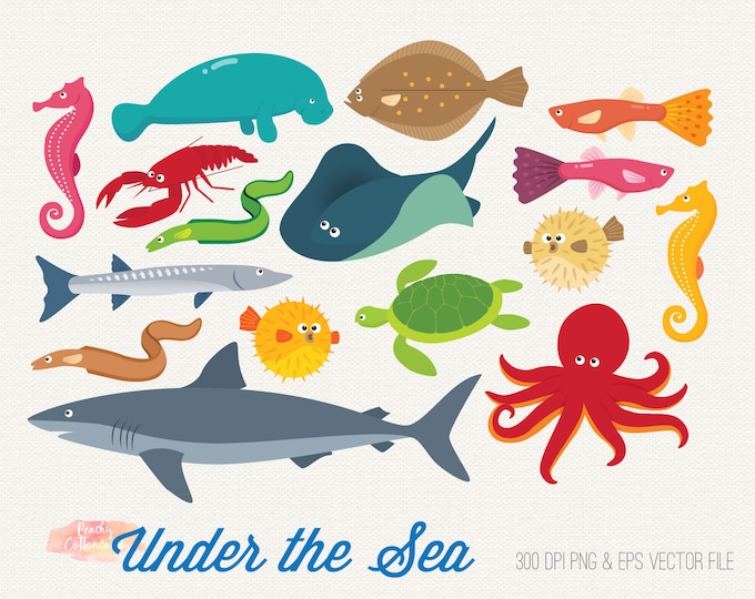 50%OFFSALE Sea Animal Clipart,sea Animals Clipart,sea Creatures ...