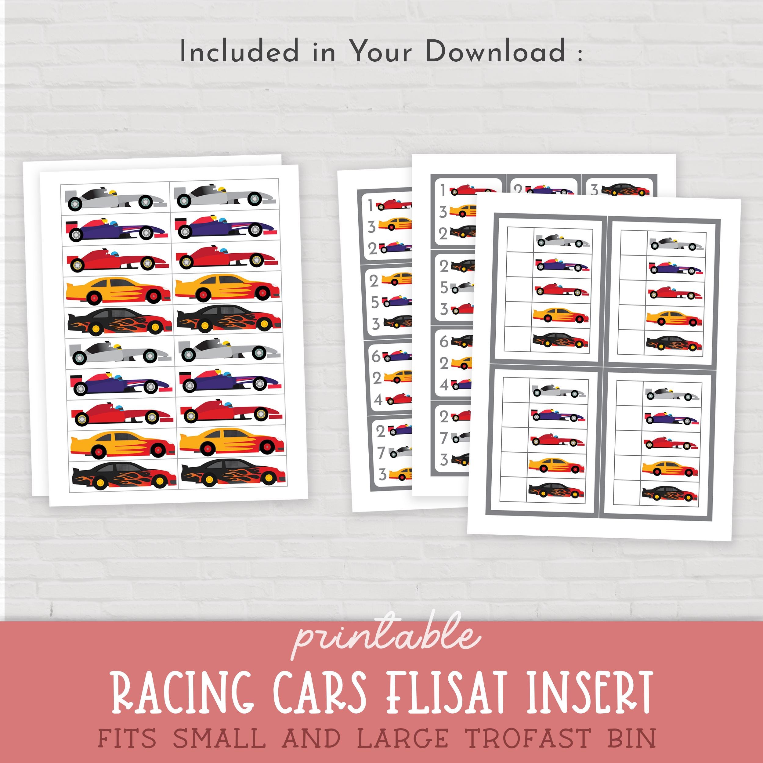 Printable Racing Cars Flisat Insert – Sorting and Counting Activity ...