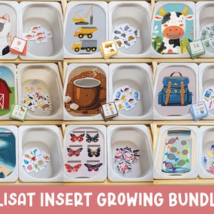 Flisat Insert Growing Bundle: 50+ Designs, Preschool Learning (digital ...