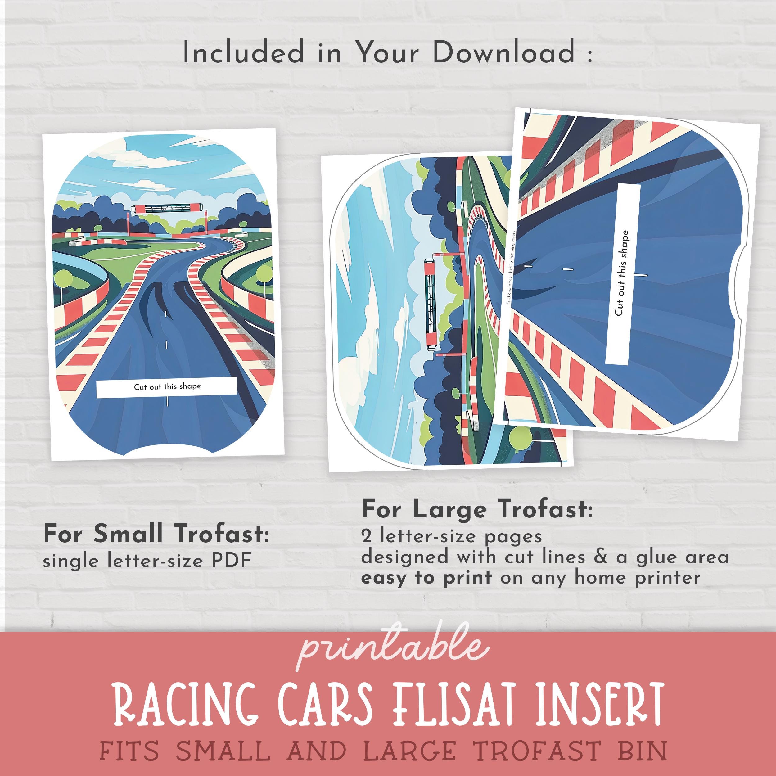 Printable Racing Cars Flisat Insert – Sorting and Counting Activity ...