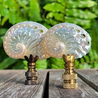 Lamp Finial-sea SCALLOP SHELL W/polished or Antique Brass Finish Base ...