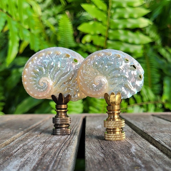Shell Lamp - Etsy
