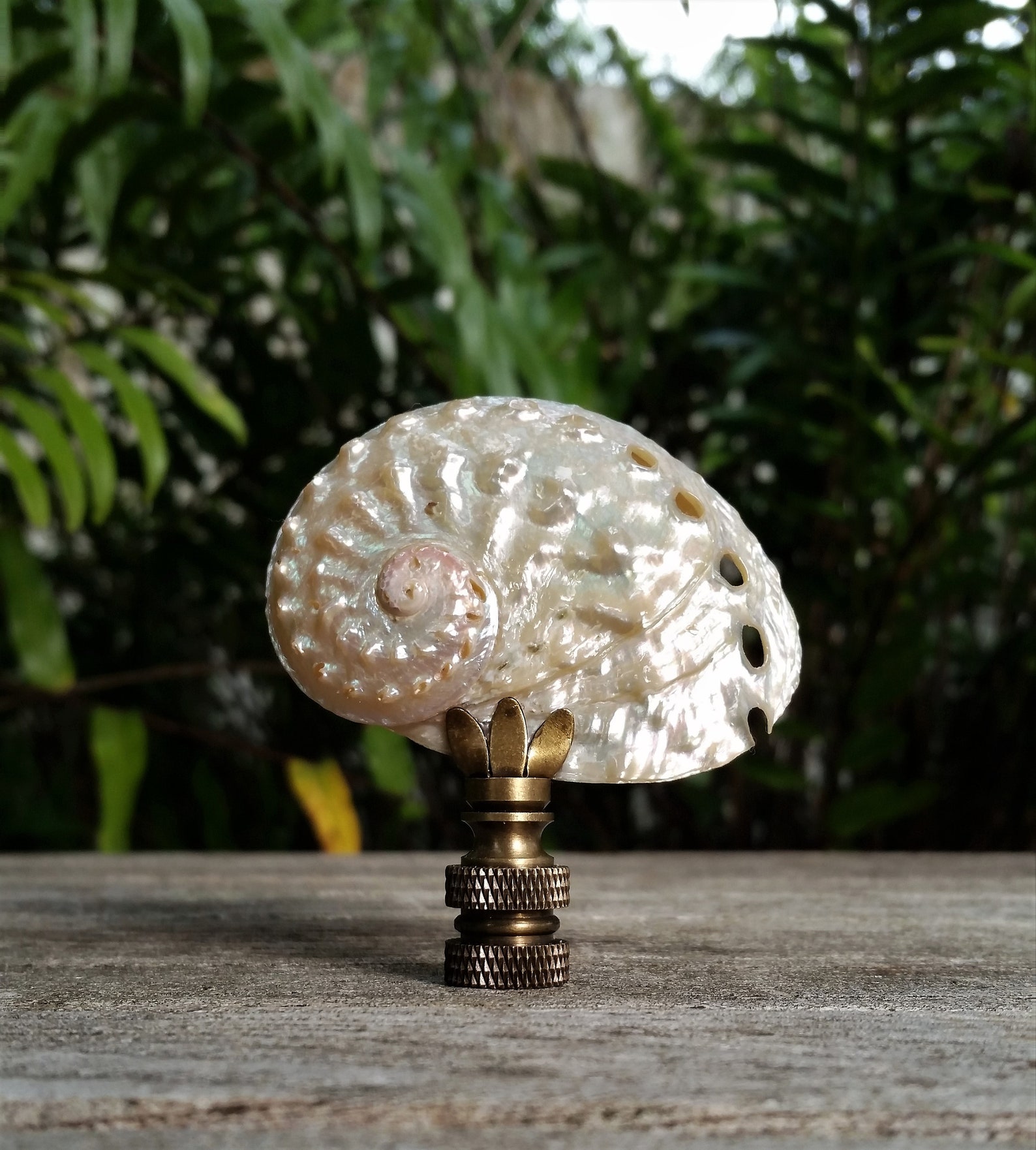 Sea Shell Lamp Finial Peachy Pink Pearl | Etsy