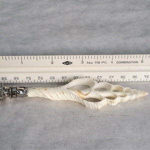 Sea Shell Lamp Finial, Tall off White Spindle - Etsy