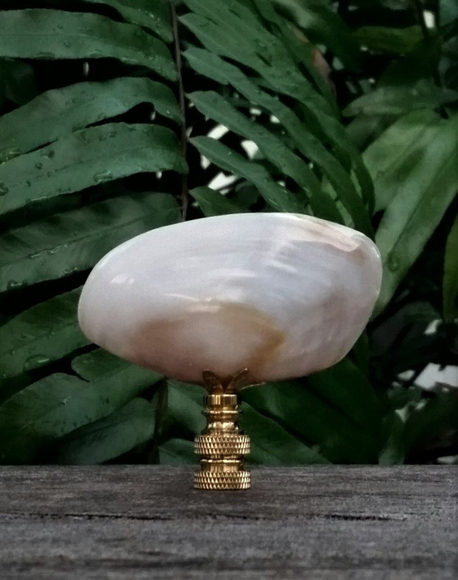 Mussel Shell Lamp Finial | Etsy