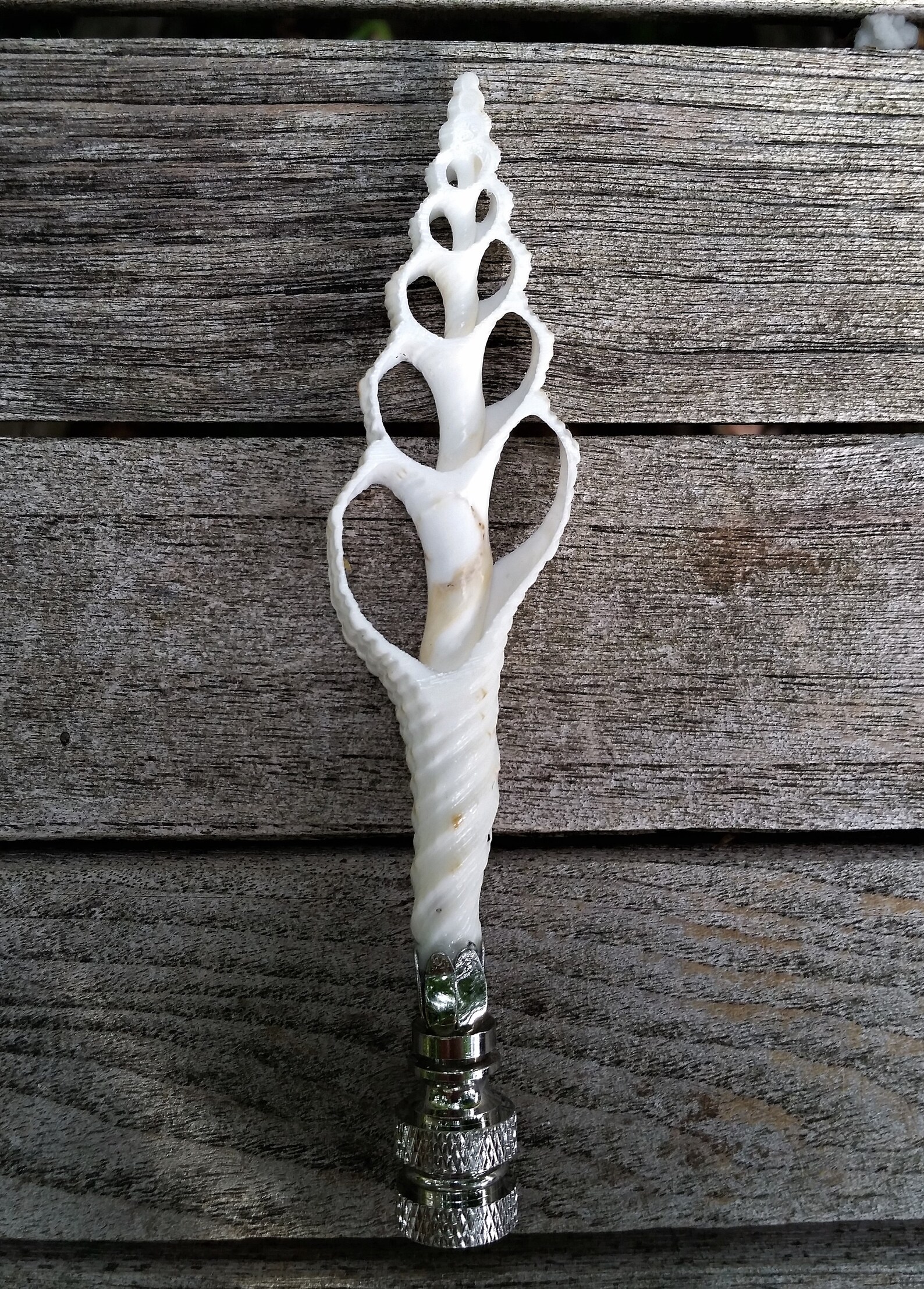 Sea Shell Lamp Finial Tall off White Spindle | Etsy