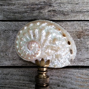 Sea Shell Lamp Finial Peachy Pink Pearl | Etsy