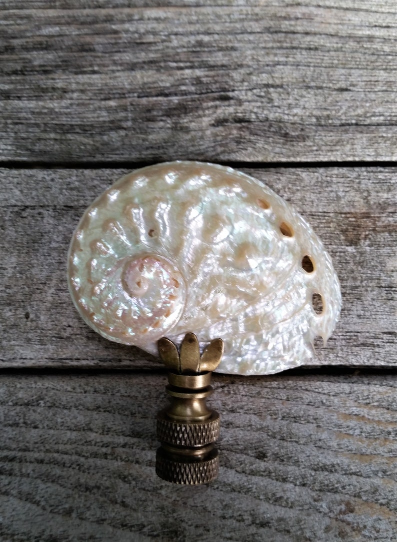 Sea Shell Lamp Finial Peachy Pink Pearl | Etsy