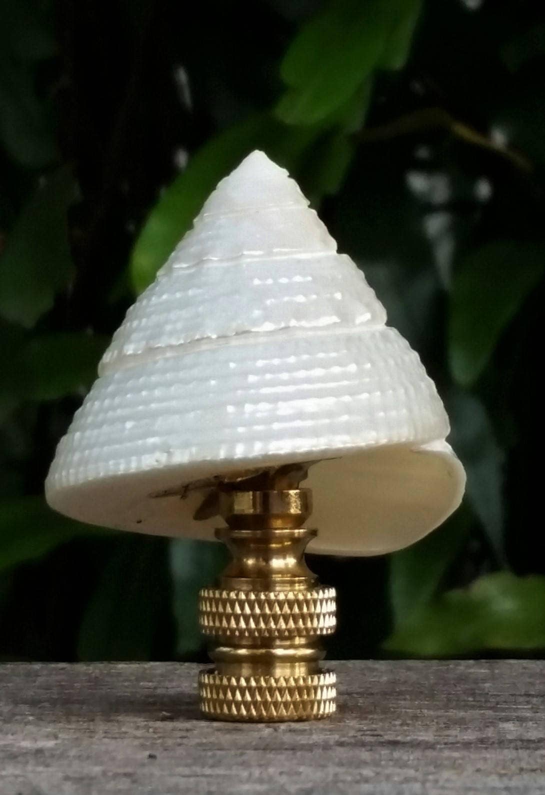 Sea Shell Lamp Finial, Pearl White - Etsy