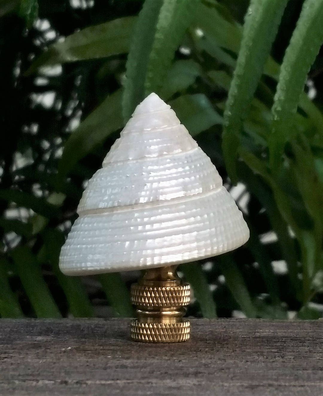 Sea Shell Lamp Finial, Pearl White - Etsy