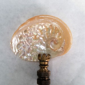 Sea Shell Lamp Finial Peachy Pink Pearl | Etsy