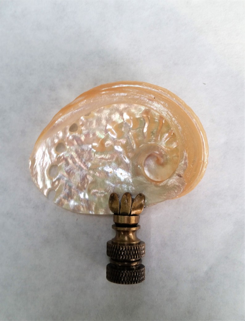 Sea Shell Lamp Finial Peachy Pink Pearl | Etsy