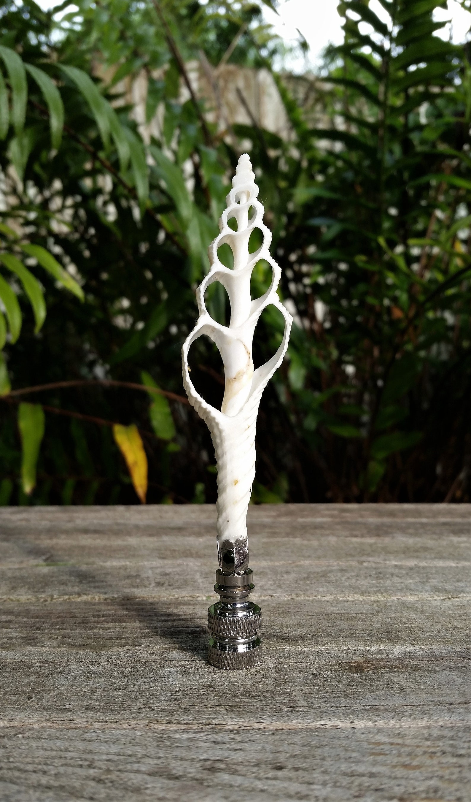 Sea Shell Lamp Finial Tall off White Spindle | Etsy