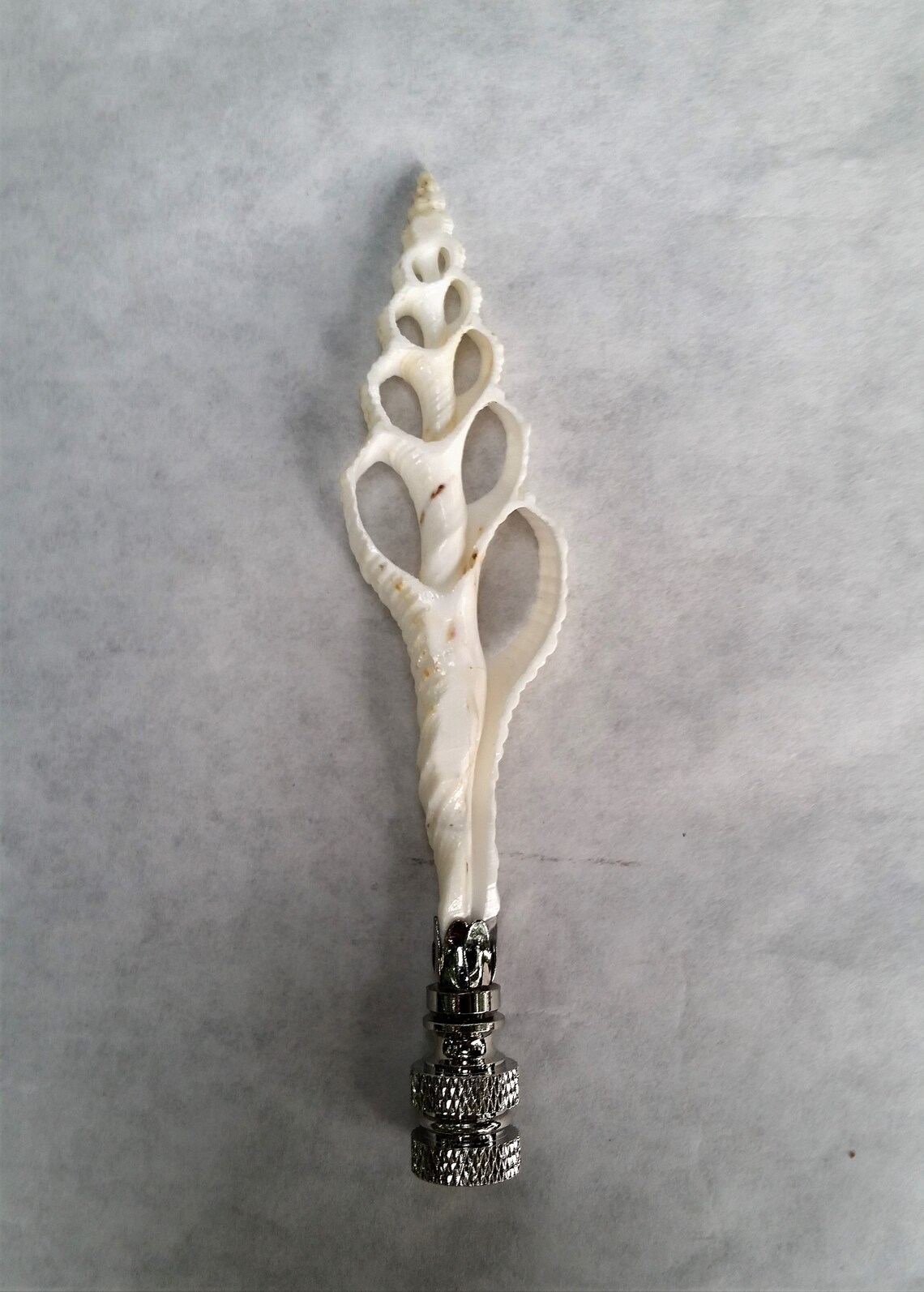 Sea Shell Lamp Finial Tall off White Spindle | Etsy