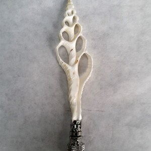 Sea Shell Lamp Finial, Tall off White Spindle - Etsy