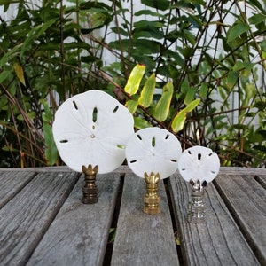 Sand Dollar Lamp Finial, Various Sizes - Etsy