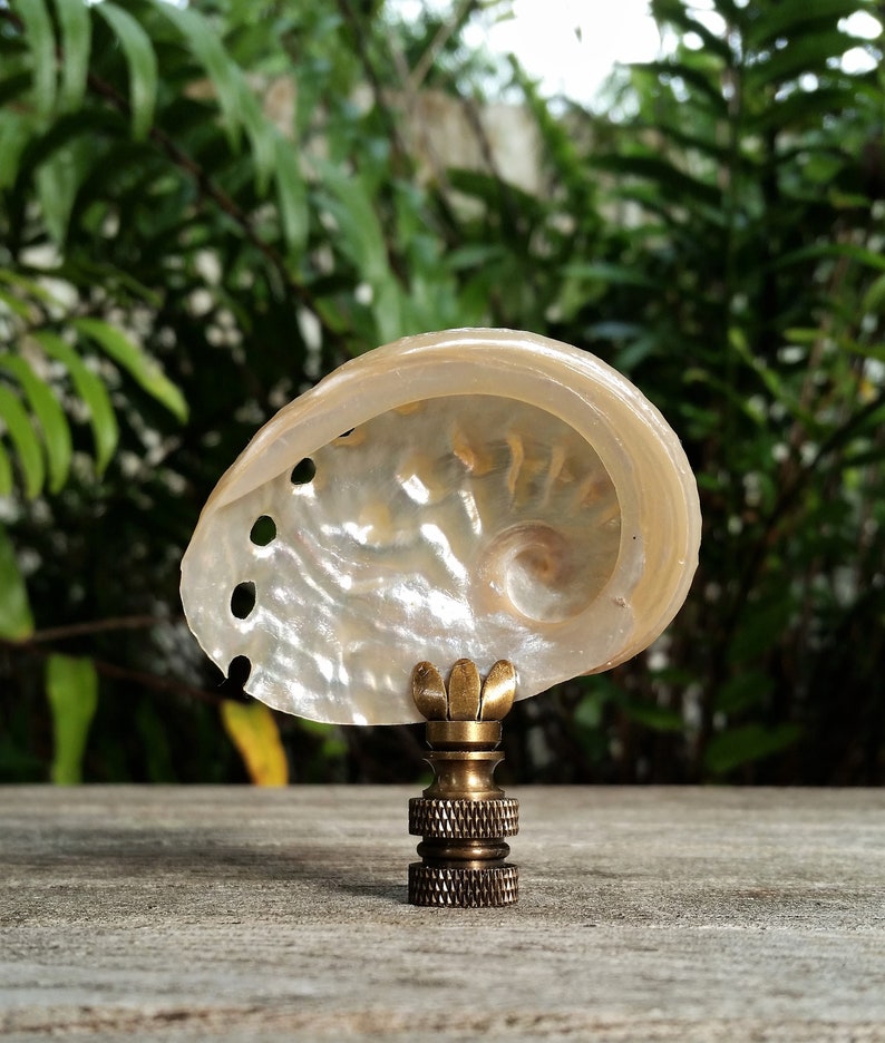 Sea Shell Lamp Finial Peachy Pink Pearl | Etsy