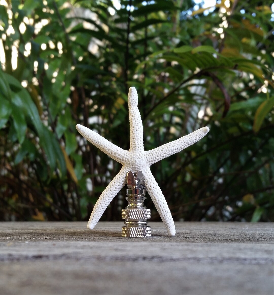Lamp Finial, Starfish, off White - Etsy