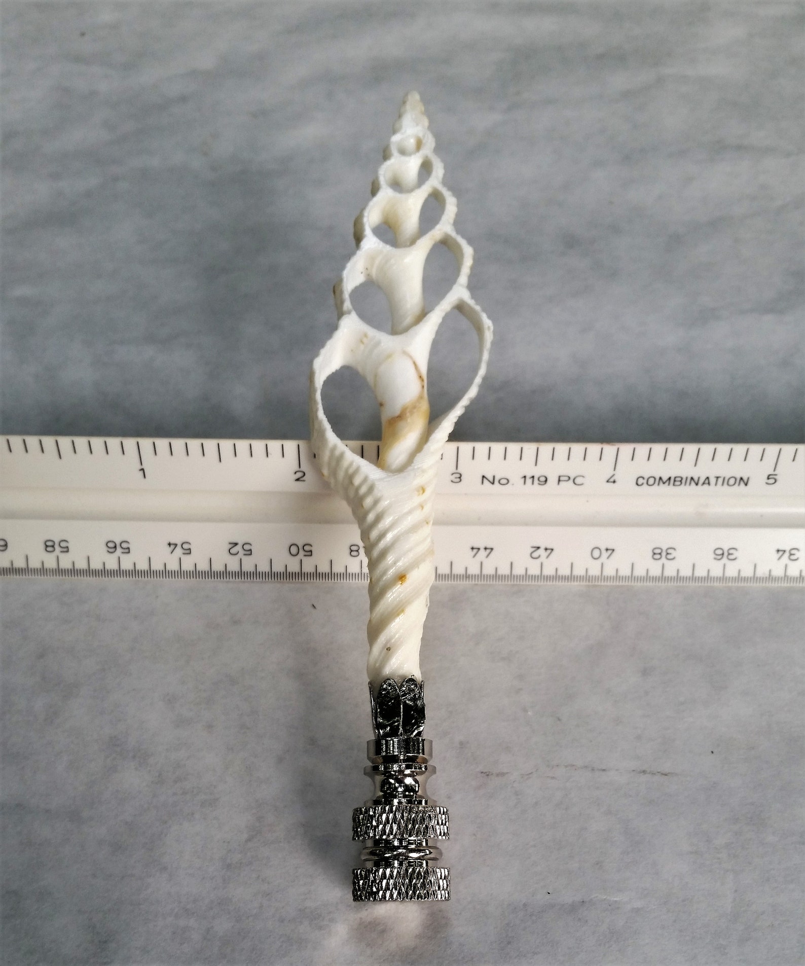 Sea Shell Lamp Finial Tall off White Spindle | Etsy