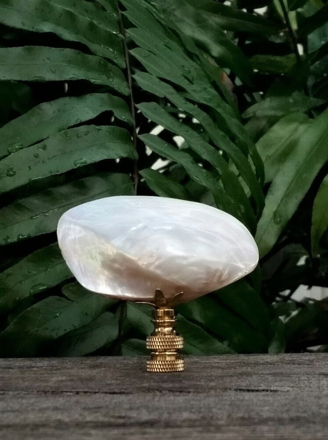 Mussel Shell Lamp Finial - Etsy