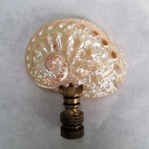 Sea Shell Lamp Finial Peachy Pink Pearl | Etsy