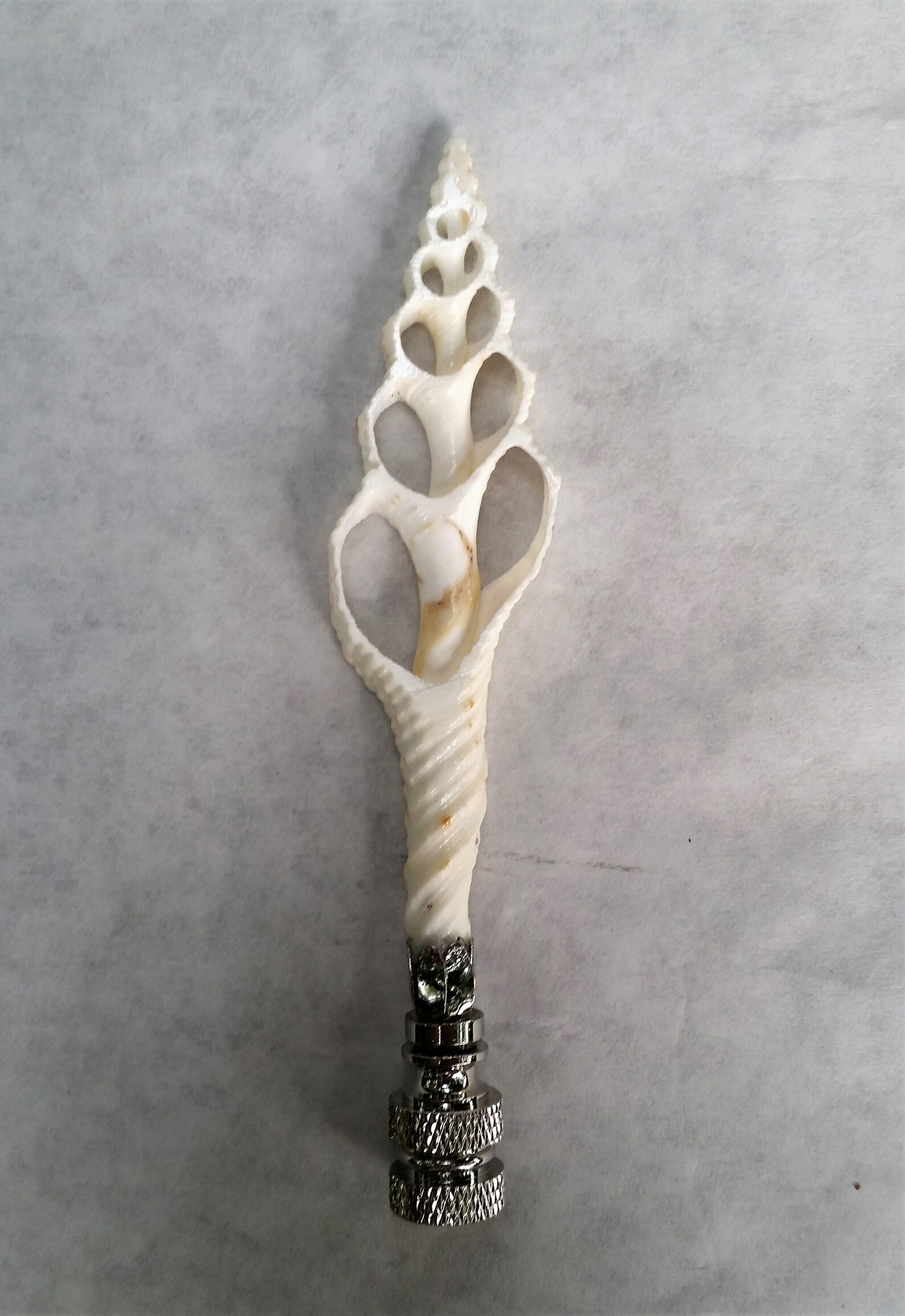 Sea Shell Lamp Finial Tall off White Spindle | Etsy