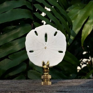Sand Dollar Lamp Finial, Various Sizes - Etsy