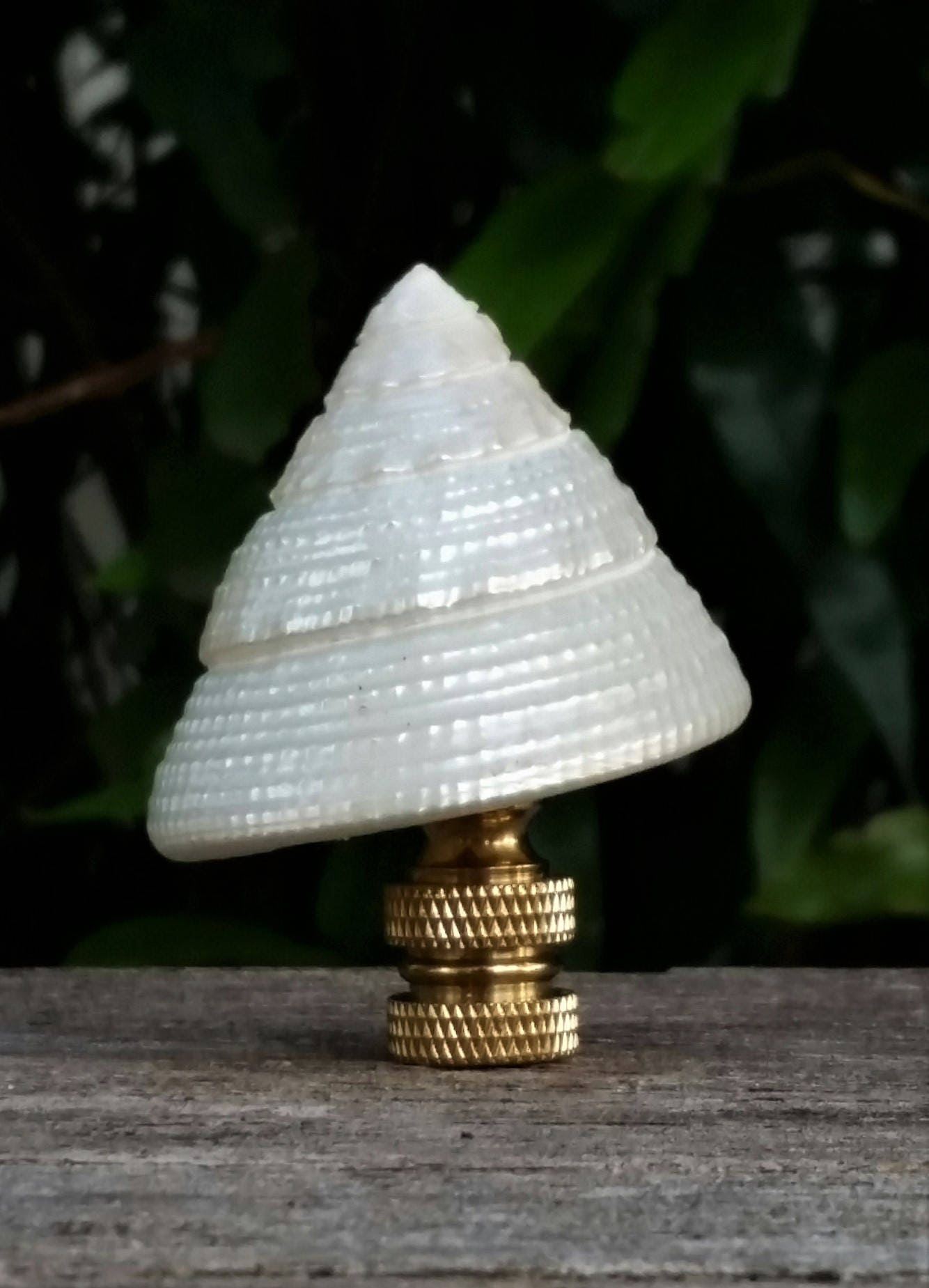 Sea Shell Lamp Finial, Pearl White - Etsy