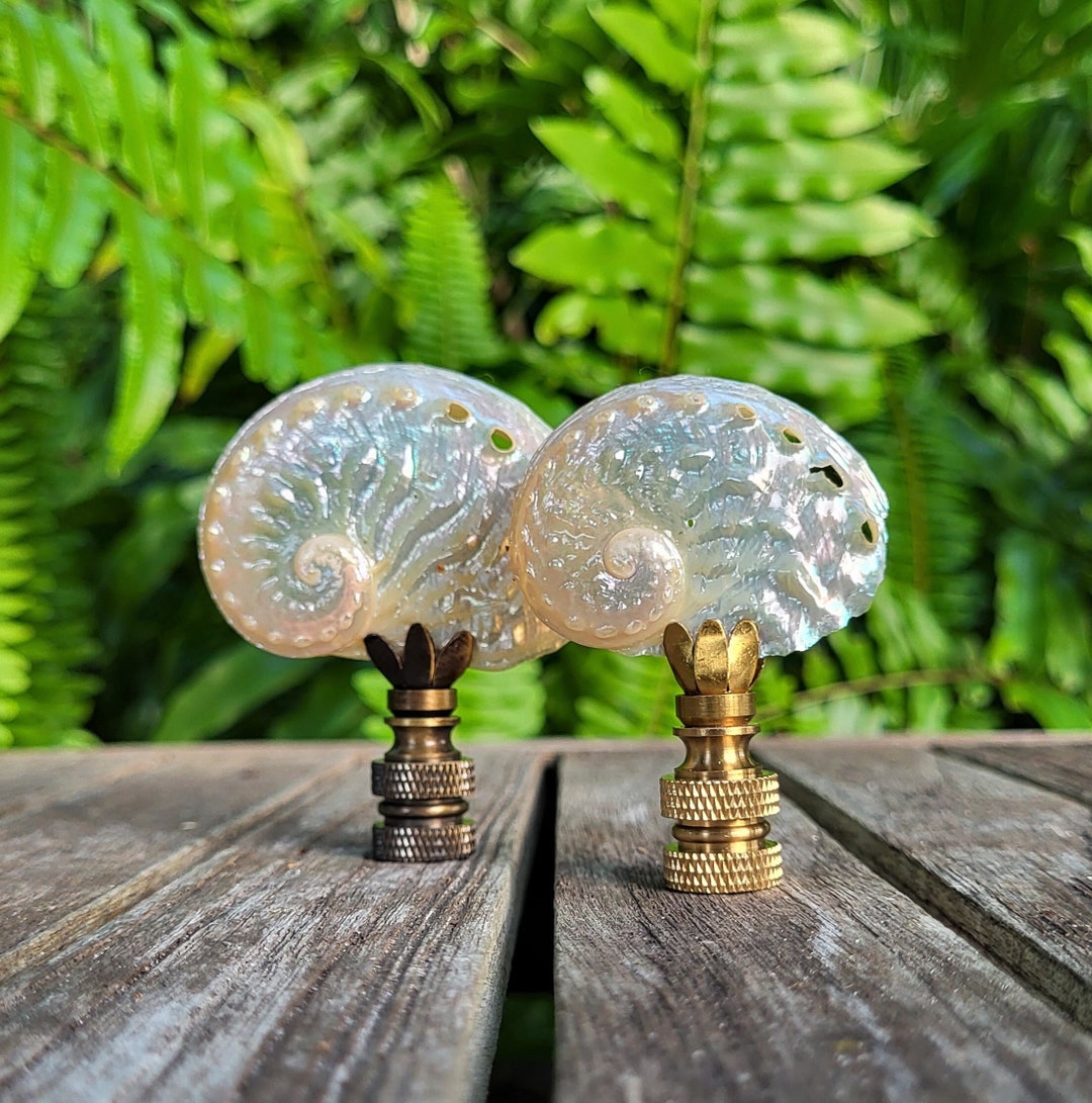 Sea Shell Lamp Finial, Peachy Pink Pearl, Two Sizes - Etsy
