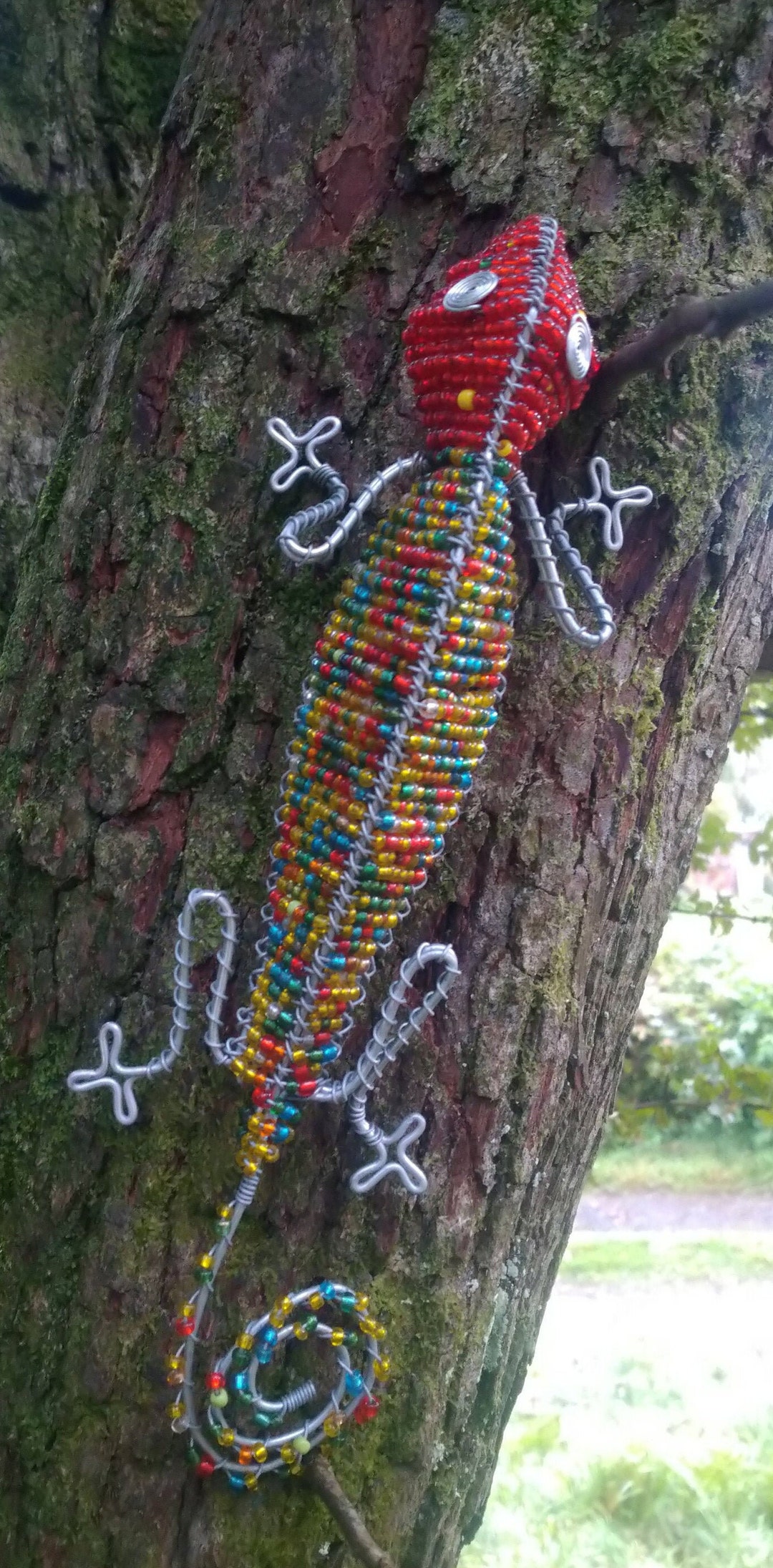 Colour Head Lizards - Etsy