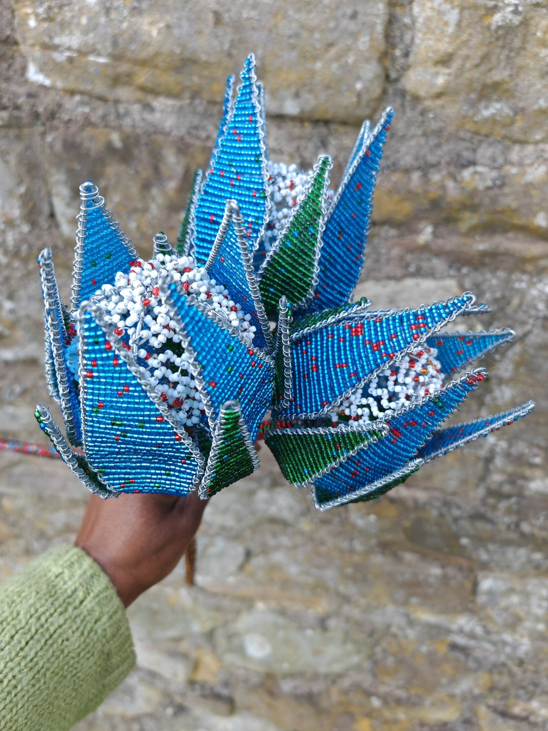 Large Blue Protea Flowers - Etsy